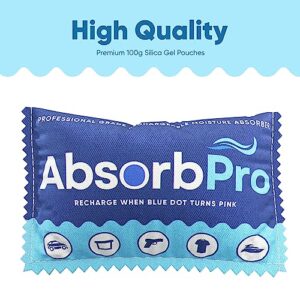 Absorb Pro - 100g (1-pack) Rechargeable Desiccant Pouch - Moisture Absorbing Bag - Dehumidifier for Bins, Totes, Safes, Cars, and Boats - Made from Silica Gel