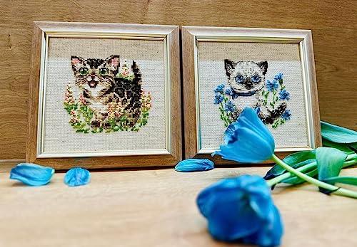 RIOLIS Counted Cross Stitch kit 2119 Bengal Kitten