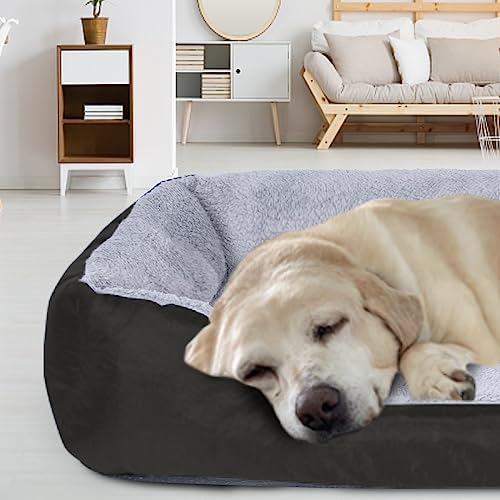 XueMi Orthopedic Dog Beds for Large Dogs, Washable Dog Beds with Soft Removable Cover, Waterproof Lining Medium Large Pet Dog Beds Couch with Non-Slip Bottom