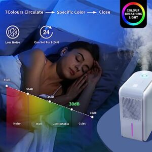 Hoomace 3 In 1 Small Humidifier Dehumidifier Combo With Air Filtration, Humidifiers Dehumidifier For Home Bedroom With Drain Hose Temperature Display,4 Modes,7 Color LED Lights,Timer Set