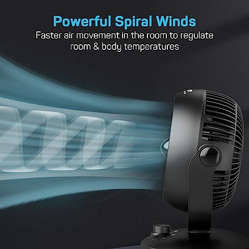 Dr. Prepare Air Circulator Fan for Bedroom, 8” Quiet Desk Fan, 70° Auto-Oscillating Vortex Fan, Efficient Cooling & Circulation Fan, 3 Speeds, 100° Adjustable Tilt, Portable for Home, Office, RV