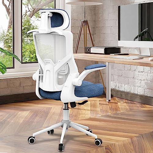 FOKESUN Ergonomic Office Chair