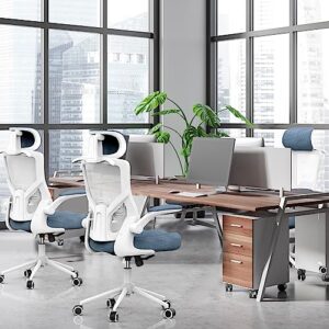 FOKESUN Ergonomic Office Chair