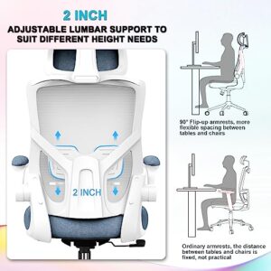 FOKESUN Ergonomic Office Chair