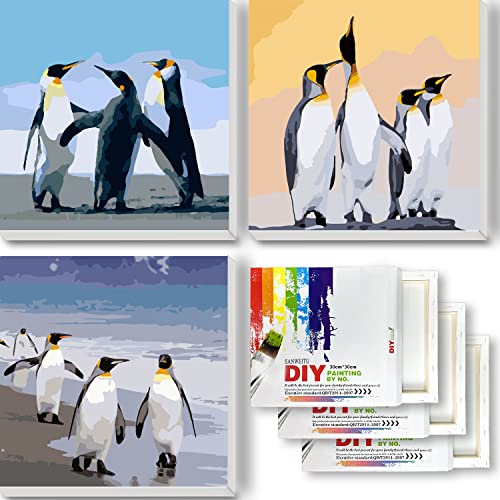 SANWEITU Paint by Number for Adults with Wooden Frame 12×12 inch 3 Pack - Suitable for Beginners & Art Lovers, Non-Toxic Paint, Linen & Nylon Brushes