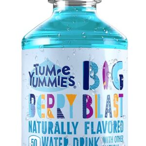 Tum-e Yummies Naturally Flavored Water Drink for Kids Bundled by Louisiana Pantry (Big Berry Blast, 12 Pack)