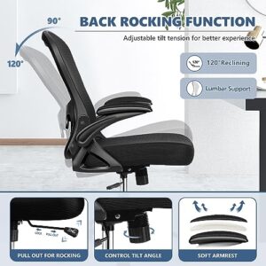 Winrise Office Chair Desk Chair, Ergonomic Mesh Computer Chair Home Office Desk Chairs, Swivel Task Chair Mid Back Breathable Rolling Chair with Adjustable Lumbar Support Flip Up Armrest (Black)