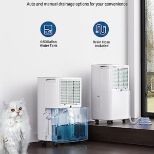 Hansabenne 30-Pints Dehumidifier for Basements - 2000 Sq. Ft. Dehumidifier with Auto or Manual Drainage - Compact Dehumidifier with Intelligent Humidity Control | Auto Defrost | Dry Clothes for Home Basements Bedroom Bathroom