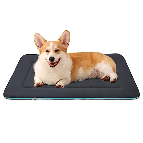 Magic Dog Dog Bed for Crate - Soft Dog Crate Pad Dog Bed Mat for Medium Dogs, 36-Inch Washable Kennel Pad Pet Beds with Non-Slip Bottom, Dark Grey M