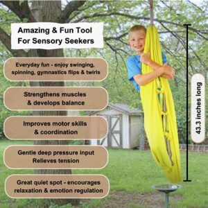 2 in 1 Kids Sensory Swing with Pillow | Kids Pod Swing & Autism Swing | Strong & Reversible Hanging Chair for Bedroom up to 200 lbs | Kids Hammock ADHD Chair | Sensory Swing for Kids Indoor Outdoor