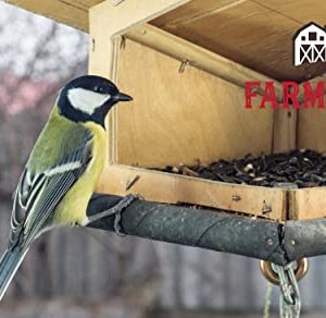 FAMILY FARM AND FEED | Four Seasons | Striped Sunflower Seed | Wild Bird Food | Backyard Songbird | 3 Pounds