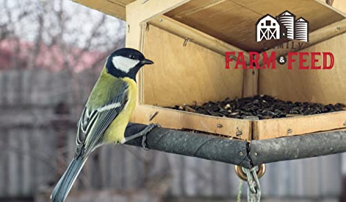 FAMILY FARM AND FEED | Four Seasons | Striped Sunflower Seed | Wild Bird Food | Backyard Songbird | 3 Pounds