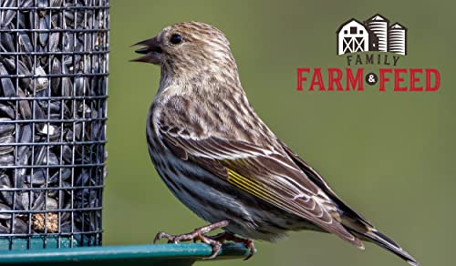 FAMILY FARM AND FEED | Four Seasons | Striped Sunflower Seed | Wild Bird Food | Backyard Songbird | 3 Pounds