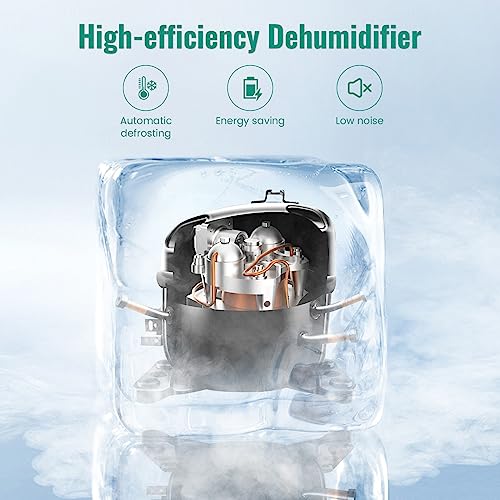 DuraComfort Dehumidifier For Home With hose,1000 Sq Ft Dehumidifiers for Bedroom Bathroom Basement Closet Kitchen RV Humidity Removal Air Dehumidifier,white