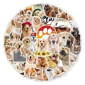 Cute Golden Retriever Dog Stickers, 55 PCS Puppy Stickers Vinyl Gifts for Laptops Water Bottles Skateboards, Kids Boys Girls Teens Party Decoration Decals (Golden Retriever)