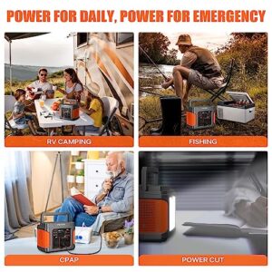 PGYOB 300W Portable Power Station, 296Wh Outdoor Solar Generator Backup Ternary Battery Pure Sine Wave Power Pack with AC/DC Outlet, PD USB-C Outlet for Home, Camping, RV, Blackout, CPAP