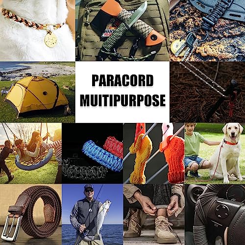 Reflective Paracord Rope 1000Ib - 100ft 200ft 500ft 1000ft 4mm 12 Strand para Cords Lanyard Utility Parachute Cord for Tent Camping Hiking Fishing Survival Tactical Clothesline DIY Projects