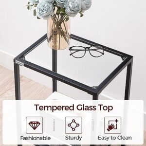 MAHANCRIS End Tables Set of 2, Side Table with Tempered Glass Top, Narrow Beside Table for Small Space, 2-Tier Nightstand with Storage Shelf, for Sofa Couch and Bed, Easy Assembly, Black ETH24B01S2