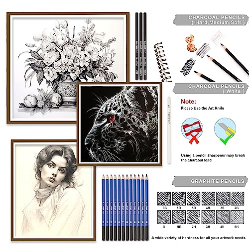 KALOUR Sketching Coloring Art Set - 38 Pieces Drawing Kit with Sketch Pencils,Watercolor Pencils,Charcoal,Brush,Eraser -Portable Zippered Travel Case - Art Supplies for Artists Beginners Adults Kids