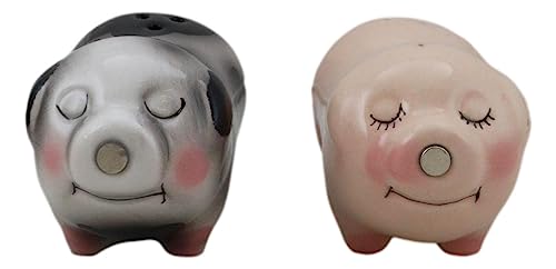 Ebros Gift Ceramic Star Crossed Lovers Chubby Country Farm Bacon Porky Pig Couple Kissing Salt And Pepper Shakers Set Valentines Pigs Piglets Figurines Party Kitchen Tabletop Collectible Accents