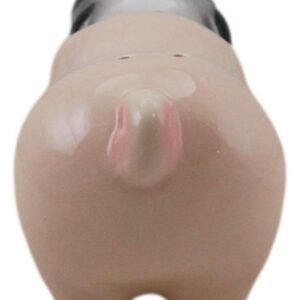 Ebros Gift Ceramic Star Crossed Lovers Chubby Country Farm Bacon Porky Pig Couple Kissing Salt And Pepper Shakers Set Valentines Pigs Piglets Figurines Party Kitchen Tabletop Collectible Accents