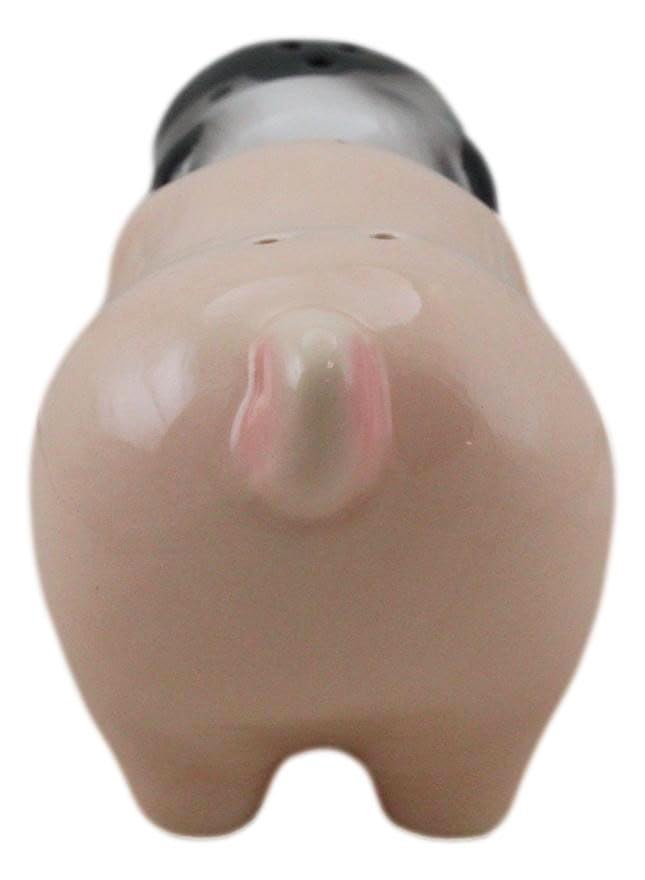 Ebros Gift Ceramic Star Crossed Lovers Chubby Country Farm Bacon Porky Pig Couple Kissing Salt And Pepper Shakers Set Valentines Pigs Piglets Figurines Party Kitchen Tabletop Collectible Accents