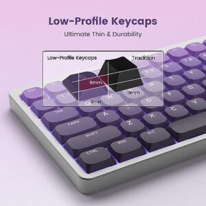 XVX Low Profile Keycaps - Purple Keycaps, Shine Through PBT Keycaps for 60% 65% 75% 100% Cherry Gateron MX Switches (Low Profile and Tradition Profile) Mechanical Keyboard