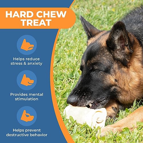 K9warehouse® - Beef Cheek Rolls for Dogs - Thick 6 Inch Buffalo Beef Cheek Rolls, Large - Premium Cow Cheek Roll Dog Treats - Rawhide Free Dog Chews Long Lasting - Pack of 4