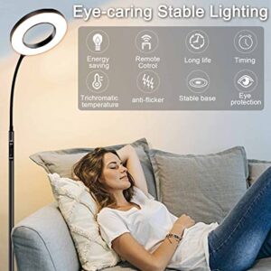 vividstarry Modern LED Floor Lamp with Remote & Touch Control, 2700K-6500K Bright Dimmable Floor Reading Lamp for Living Room/Bedroom/Office, Gooseneck Task Lights 10-100% Brightness Adjustable,Timer