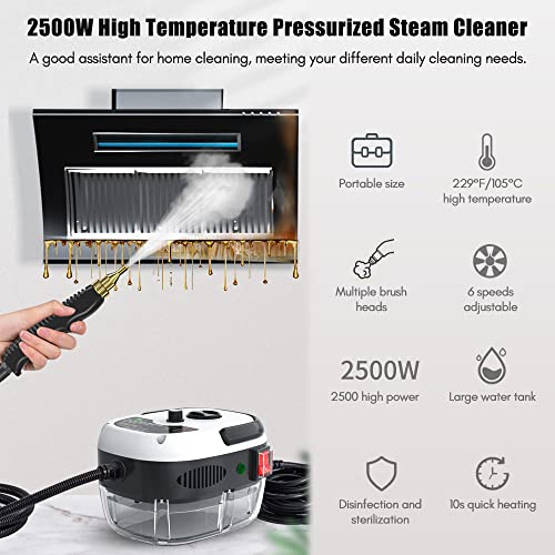 Steam Cleaner, 2500W Steam Cleaners for Home Use, Portable Steam Cleaner with Brush Heads, High Pressure Temperature Steam Cleaning Machine, Handheld Steam Cleaner for Car Couch Furniture Floors