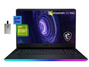 msi 2022 ge76 raider gaming 17.3" thin bezel ips fhd 144hz laptop, 12th core i7-12700h, 32gb ram, 1tb pcie ssd, backlit keyboard, geforce rtx 3060 6gb, win11 pro, grey, 32gb usb card (renewed)