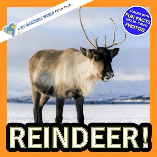 Reindeer!: A My Incredible World Picture Book for Children (My Incredible World: Nature and Animal Picture Books for Children)