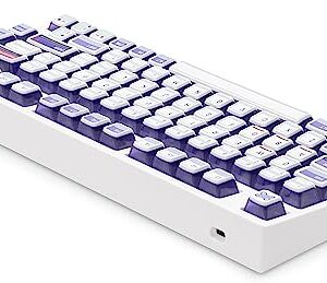 KEEBMONKEY Keytok CTRL Semi-Transparent Keycap Set (Purple)