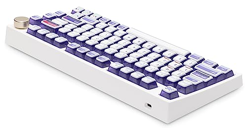 KEEBMONKEY Keytok CTRL Semi-Transparent Keycap Set (Purple)