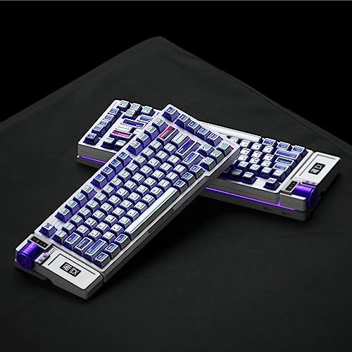 KEEBMONKEY Keytok CTRL Semi-Transparent Keycap Set (Purple)