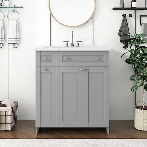 Ayvbir 30 inch Bathroom Vanity with Single Sink in Grey,Combo Cabinet Undermount Sink,Bathroom Storage Cabinet with Solid Wood Frame