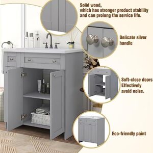 Ayvbir 30 inch Bathroom Vanity with Single Sink in Grey,Combo Cabinet Undermount Sink,Bathroom Storage Cabinet with Solid Wood Frame