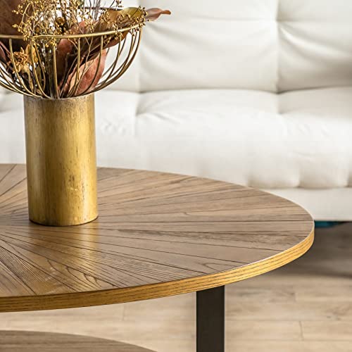 DAKVO Solid Wood Coffee Table for Living Room and Bedroom, Farmhouse Oval Coffee Table with Storage, Oval Round Coffee Tables Living Room