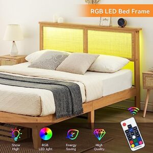 GAOMON Queen Bed Frame with Natural Rattan Headboard, Queen Size Platform Bed Frame with LED Lights & Curved Rattan Headboard & Wooden Support Legs, No Box Spring Needed, Easy Assembly