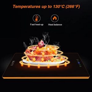 Buffet Warming Tray Hot Plate, Party Chafing Dish, Electric Food Warmer for Kitchen, Dining Room, Restaurant, with Adjustable Temperature Control