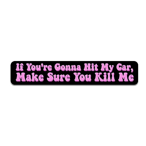 Miraki If You're Gonna Hit My Car Make Sure You Kill Me Sticker, Vehicle Accessories Sticker, Meme Stickers, Water Assitant Die-Cut Funny Decals for Laptop, Phone, Water Bottles, Kindle Sticker