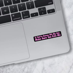 Miraki If You're Gonna Hit My Car Make Sure You Kill Me Sticker, Vehicle Accessories Sticker, Meme Stickers, Water Assitant Die-Cut Funny Decals for Laptop, Phone, Water Bottles, Kindle Sticker