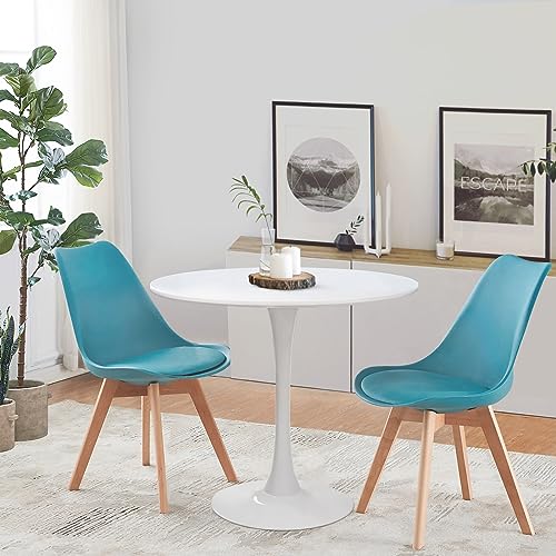 Round White Dining Table Modern Kitchen Table 31.5" with Pedestal Base in Tulip Design, Mid-Century Leisure Table for 2 to 4 Person