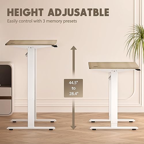 ERGOMORE Electric Standing Desk, 55 Inch Height Adjustable Standing Desk, Stand up Desk with 3 Memory Presets Controller (Maple & White)