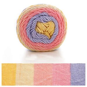 100g Rainbow Cotton Knitting Yarn 5 Strand Hand-Woven Crochet Thread for Blanket Yarn