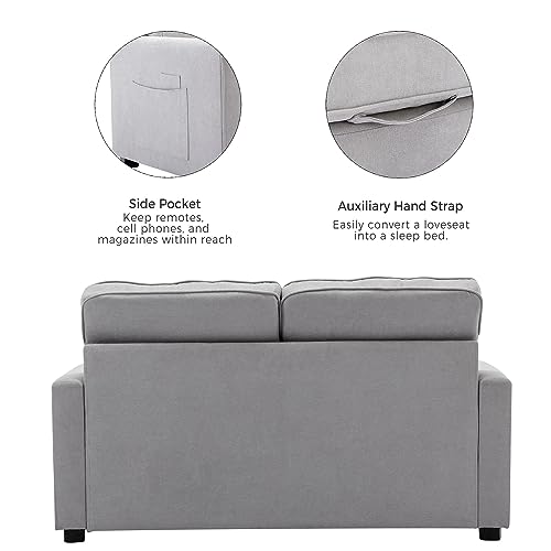 RIDFY Modern Convertible Sleeper Sofa Bed with Pull-Out Bed and Two Side Pockets, Chenille Loveseat Sleeper Sofa Couch for Living Room, Apartment, Office (Grey)