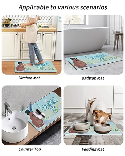 Groundhog Day Bath Mat for Tub,Non Slip Bathroom Floor Runner Rug Quick Dry & Absorbent Diatomaceous Earth Shower Sink Kitchen Living Room Washable Doormat,Spring Blue Forest Green Grass 16"x24"