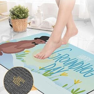 Groundhog Day Bath Mat for Tub,Non Slip Bathroom Floor Runner Rug Quick Dry & Absorbent Diatomaceous Earth Shower Sink Kitchen Living Room Washable Doormat,Spring Blue Forest Green Grass 16"x24"