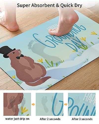 Groundhog Day Bath Mat for Tub,Non Slip Bathroom Floor Runner Rug Quick Dry & Absorbent Diatomaceous Earth Shower Sink Kitchen Living Room Washable Doormat,Spring Blue Forest Green Grass 16"x24"