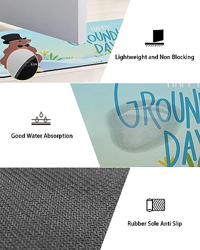 Groundhog Day Bath Mat for Tub,Non Slip Bathroom Floor Runner Rug Quick Dry & Absorbent Diatomaceous Earth Shower Sink Kitchen Living Room Washable Doormat,Spring Blue Forest Green Grass 16"x24"